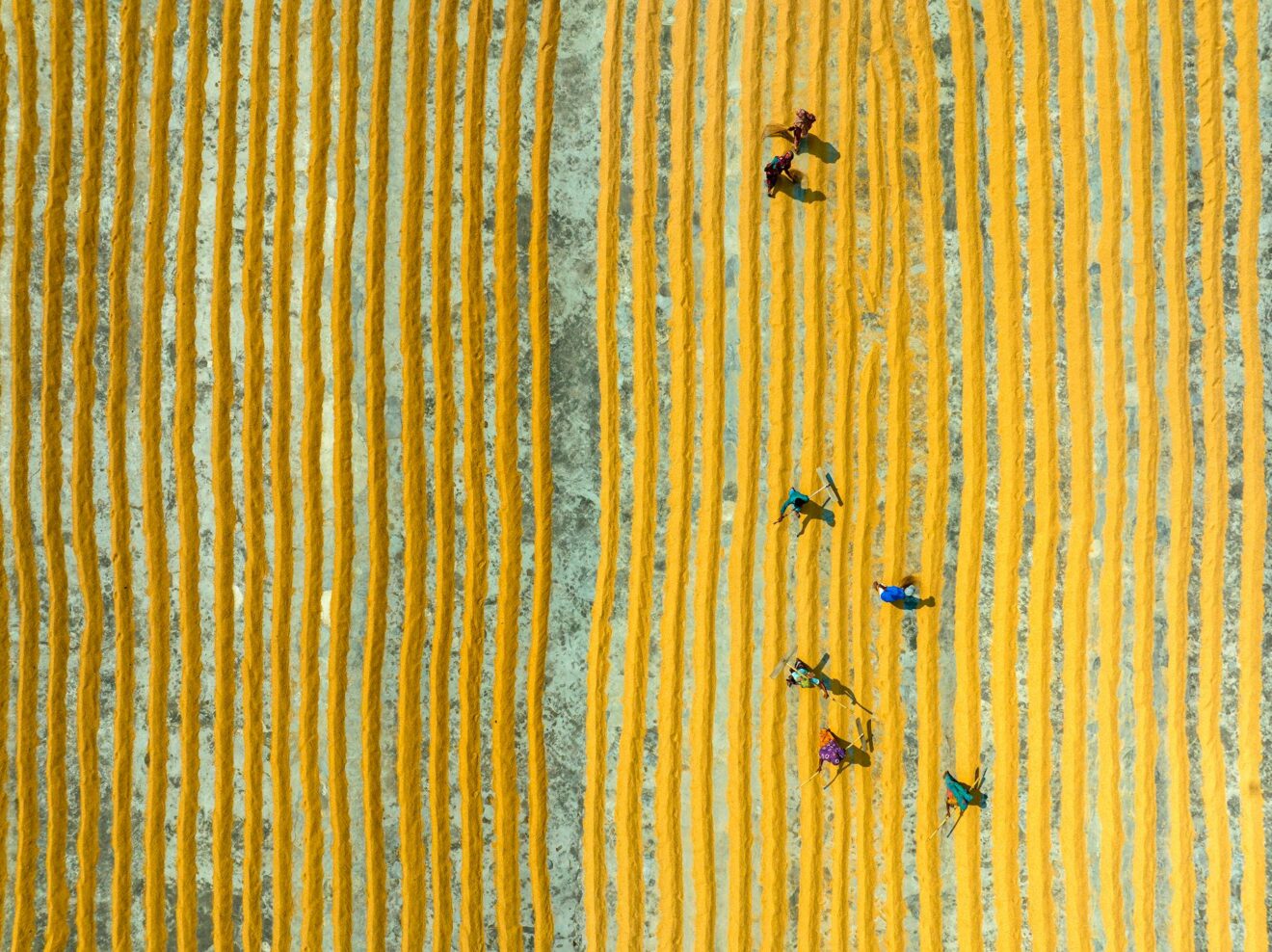 Self-Driving Cars: Everything You Need to Know – Ncmaz Fse